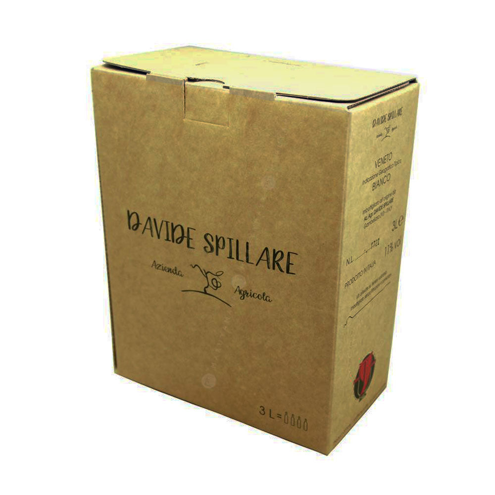 Davide Spillare Veneto Bianco 3 Liter Bag in Box – Winemonger
